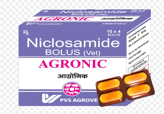 Niclosamid là thuốc gì? Công dụng, liều dùng | Bcare.vn