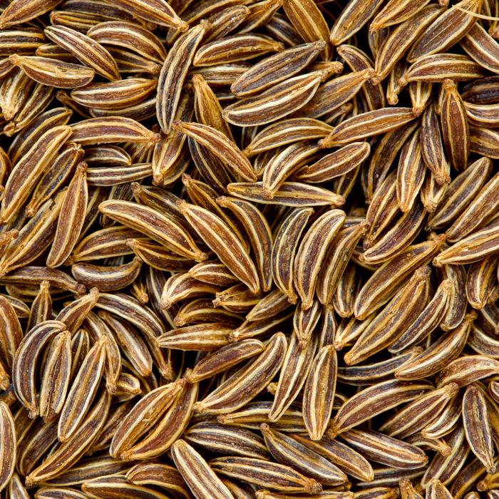 Caraway có công dụng gì? Dùng như thế nào mới hiệu quả?